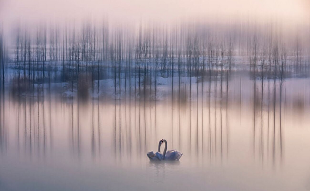 Mind-blowing photos taken with Canon cameras |Pergear Photography Blog